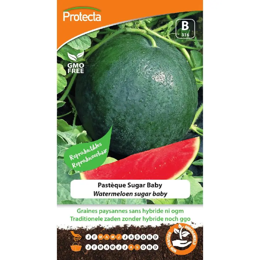 Pastèque sugar baby ( Protecta B ) | Central Jardin